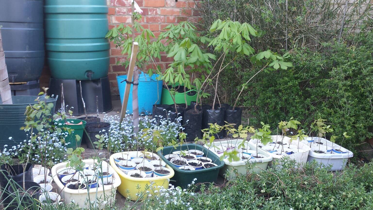 Greener Henley - Low Carbon Hub